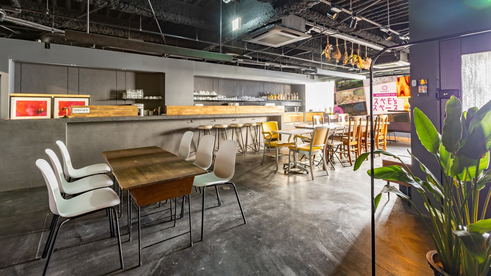 スペモ🏰忘年会🍺飲食店許可施設🍽️撮影🎥パーティ🎊セミナー👩‍💻802_CafefleurLOUNGE心斎橋の写真4