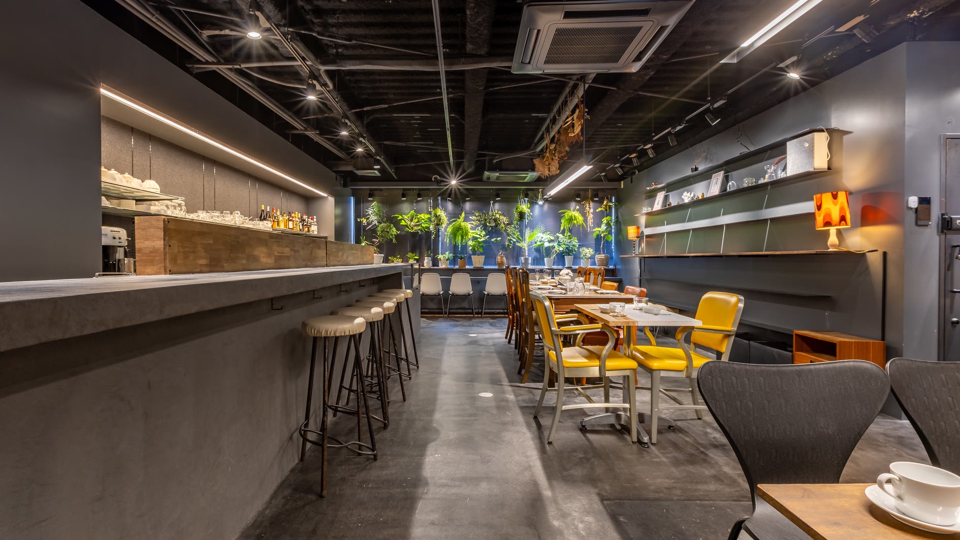 スペモ🏰忘年会🍺飲食店許可施設🍽️撮影🎥パーティ🎊セミナー👩‍💻802_CafefleurLOUNGE心斎橋の写真15