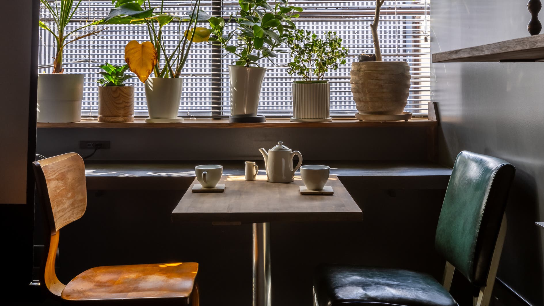 スペモ🏰忘年会🍺飲食店許可施設🍽️撮影🎥パーティ🎊セミナー👩‍💻802_CafefleurLOUNGE心斎橋の写真16