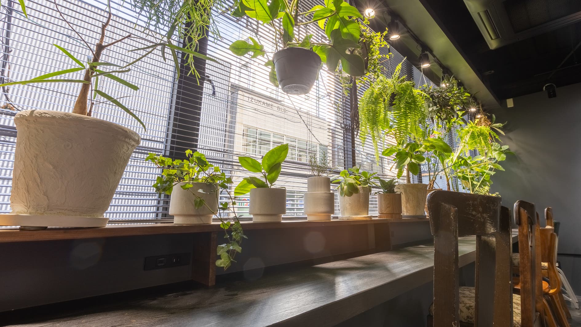 スペモ🏰忘年会🍺飲食店許可施設🍽️撮影🎥パーティ🎊セミナー👩‍💻802_CafefleurLOUNGE心斎橋の写真19