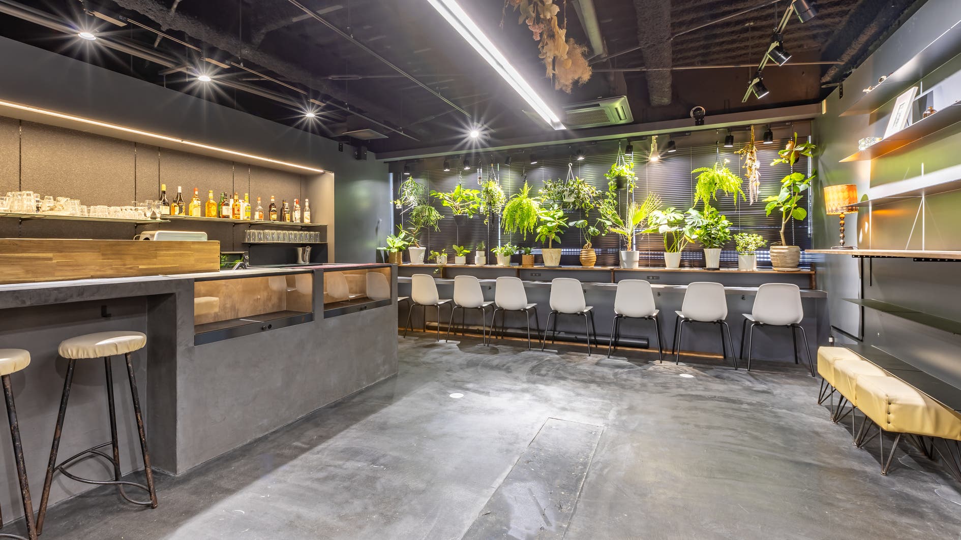 スペモ🏰忘年会🍺飲食店許可施設🍽️撮影🎥パーティ🎊セミナー👩‍💻802_CafefleurLOUNGE心斎橋の写真24