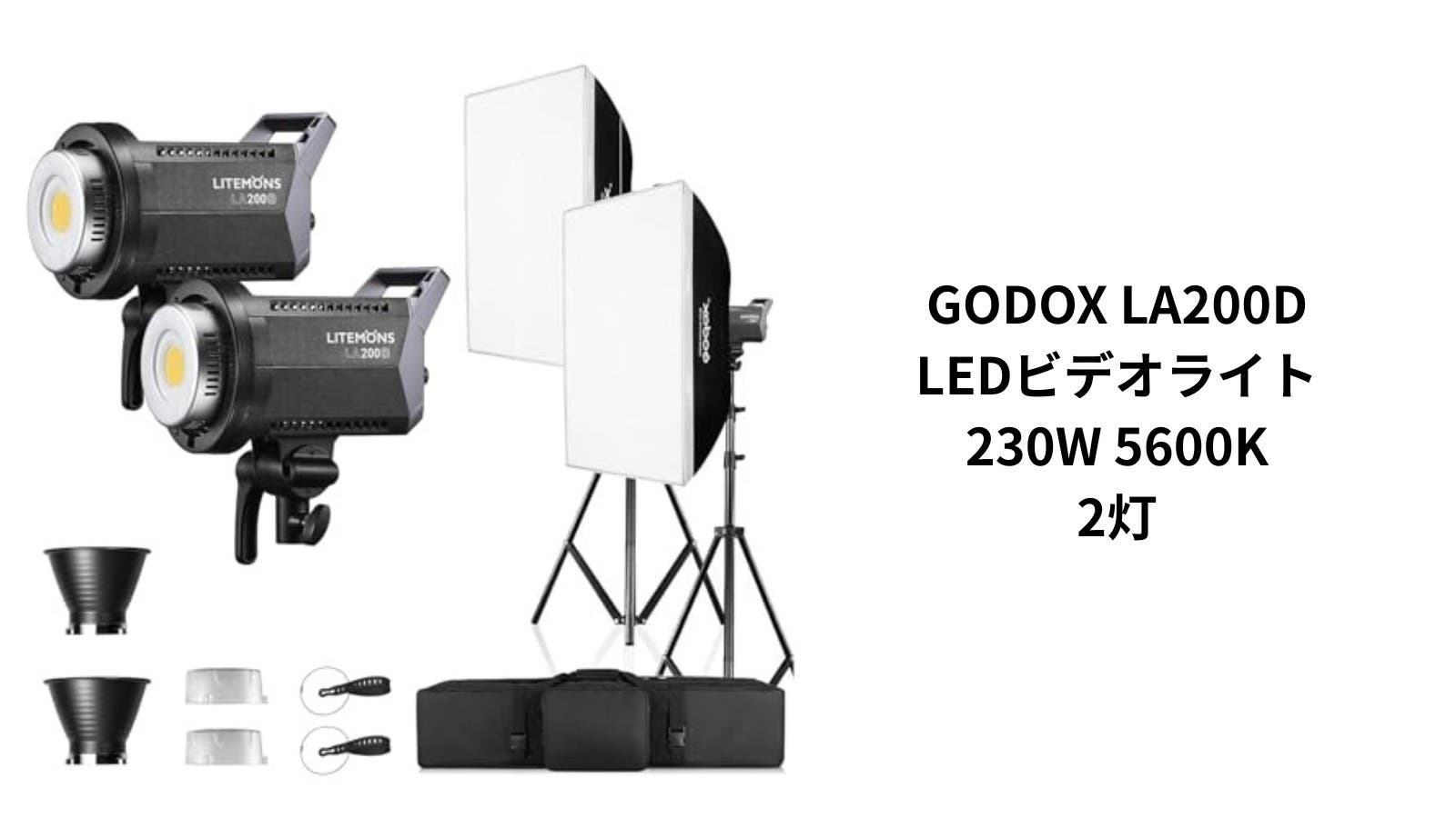 【中野店F号室】中野駅9分｜自然光溢れるデザイナーズハウススタジオ｜🎄ピンククリスマス🎄の写真8