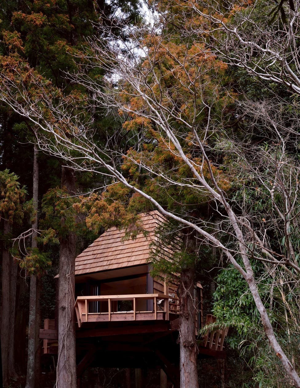 《木の上で、自分だけの時間を》の写真3