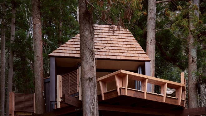 《木の上で、自分だけの時間を》の写真4