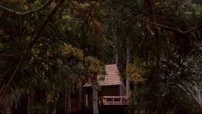 《木の上で、自分だけの時間を》の写真5