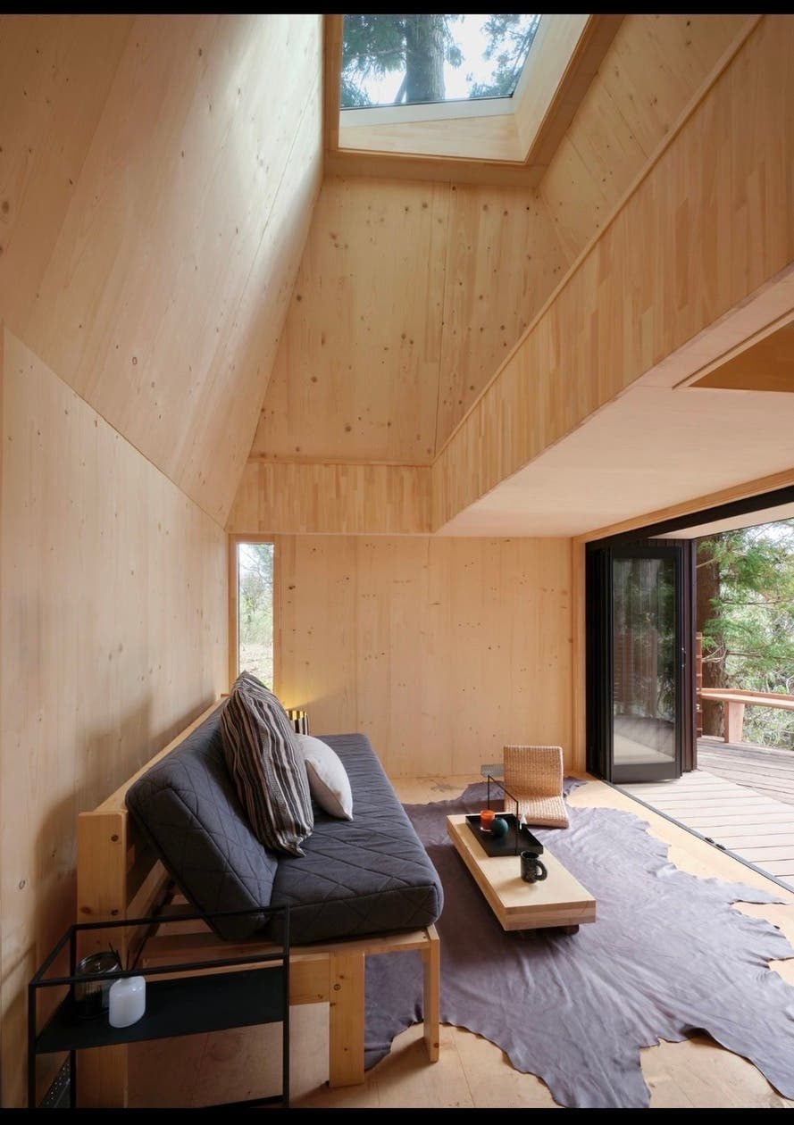 《木の上で、自分だけの時間を》の写真1