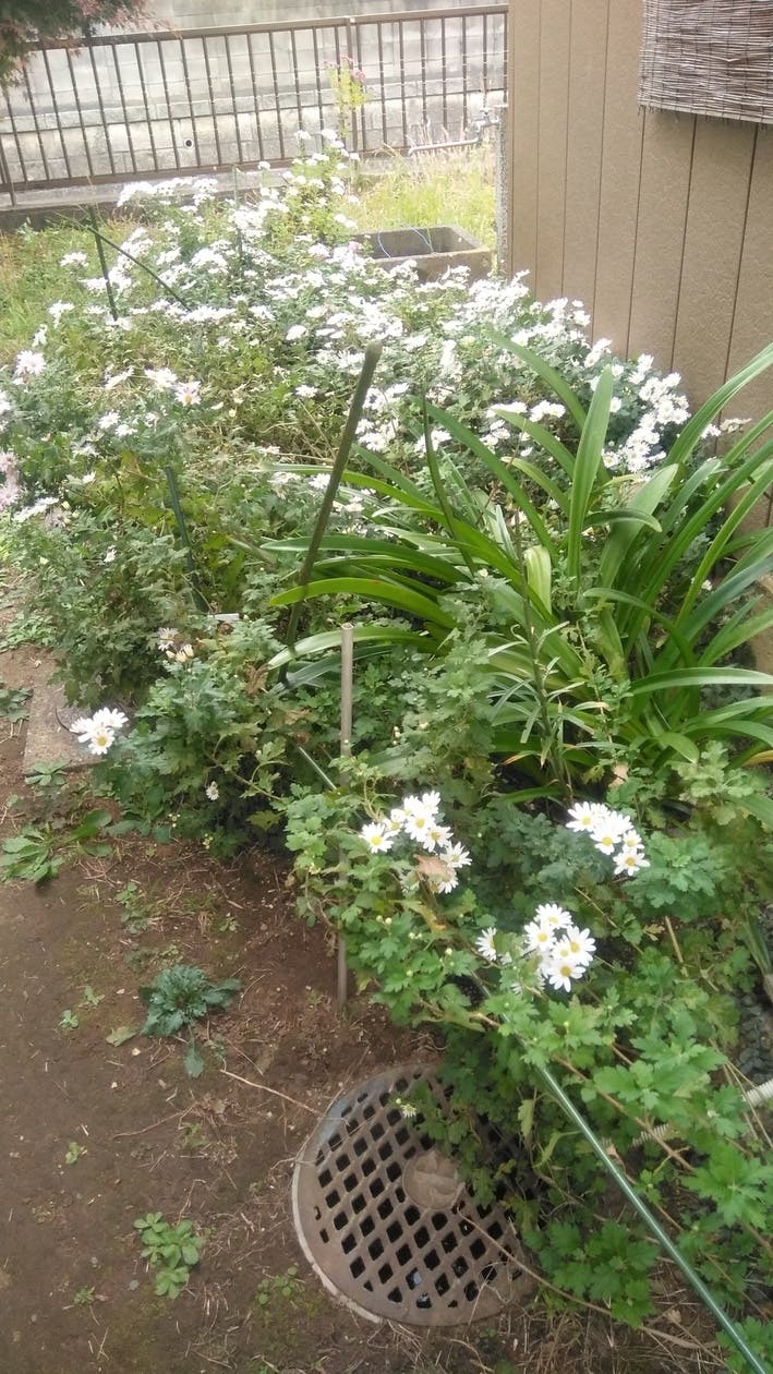 縁側からやさし光の入る和室で、各種教室や打ち合わせなどなごみの時が過ごせます。の写真21