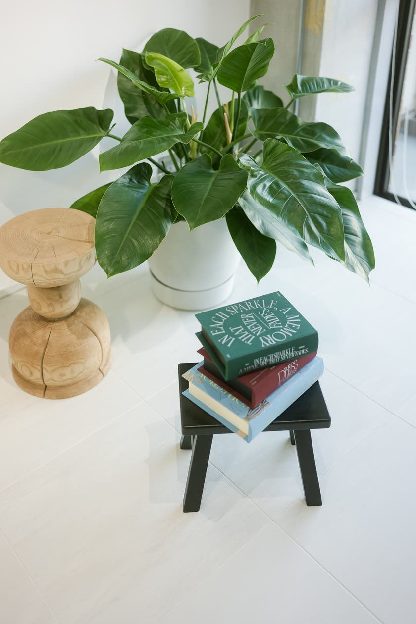 参宮橋・南新宿６分｜白壁木コンクリ二面｜撮影・ワークショップ・展示の写真27