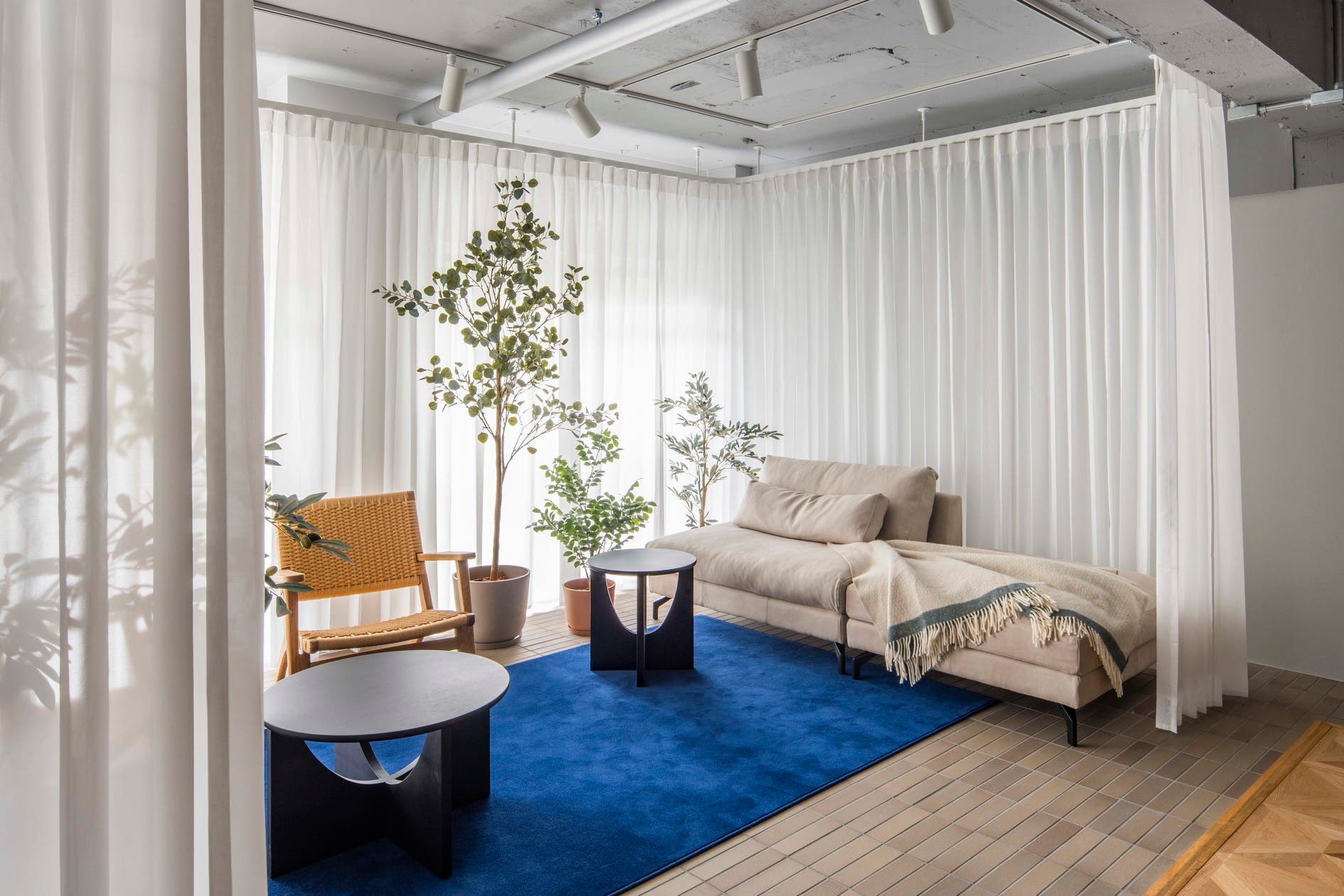 105【荻窪/井荻】クリスマス/忘年会/新年会/打ち合わせ/セミナー/ワークショップ/ホームパーティ/ママ友会/誕生日会/の写真5