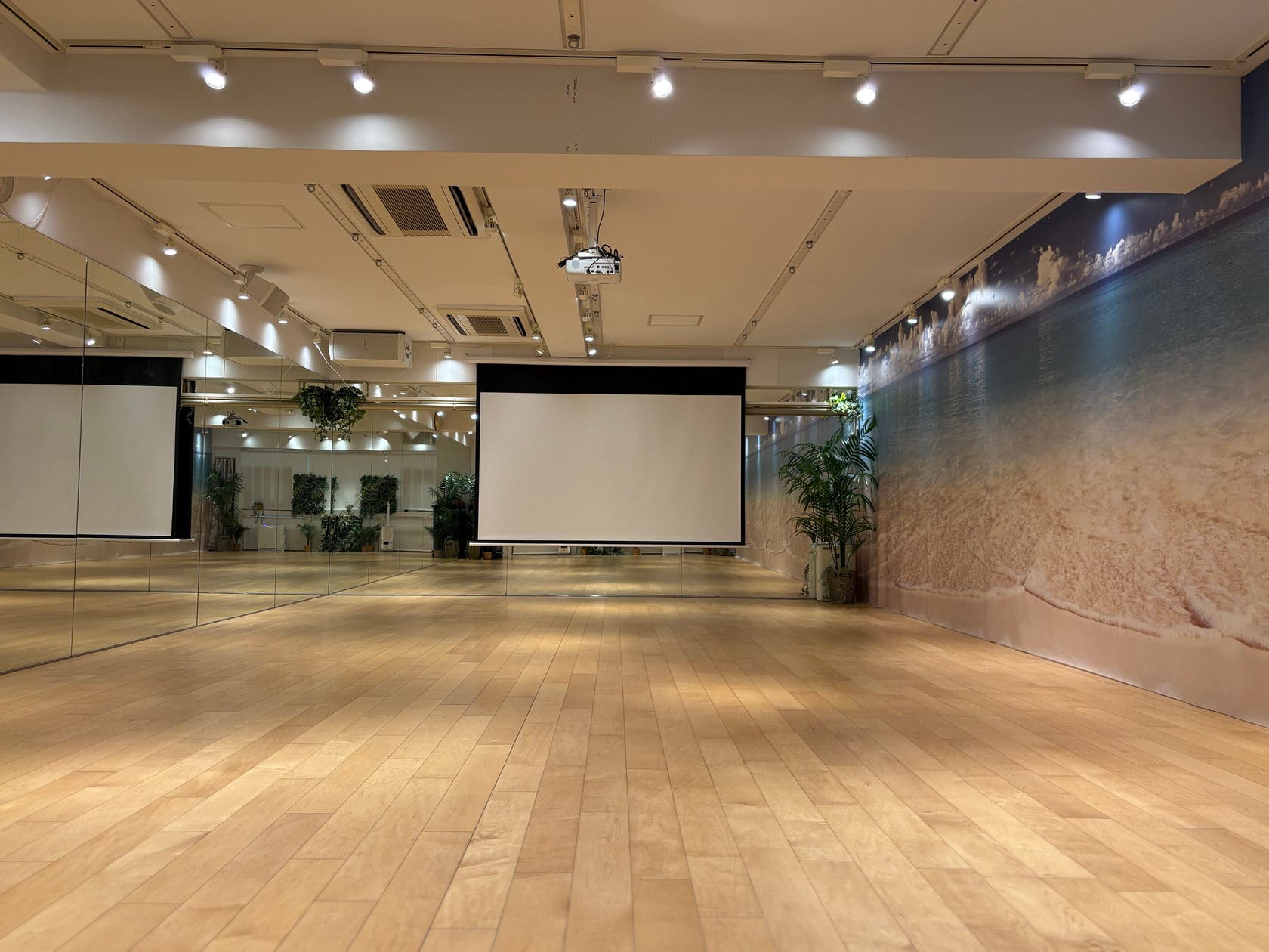 天井プロジェクター、プロジェクタースクリーン利用の画像2