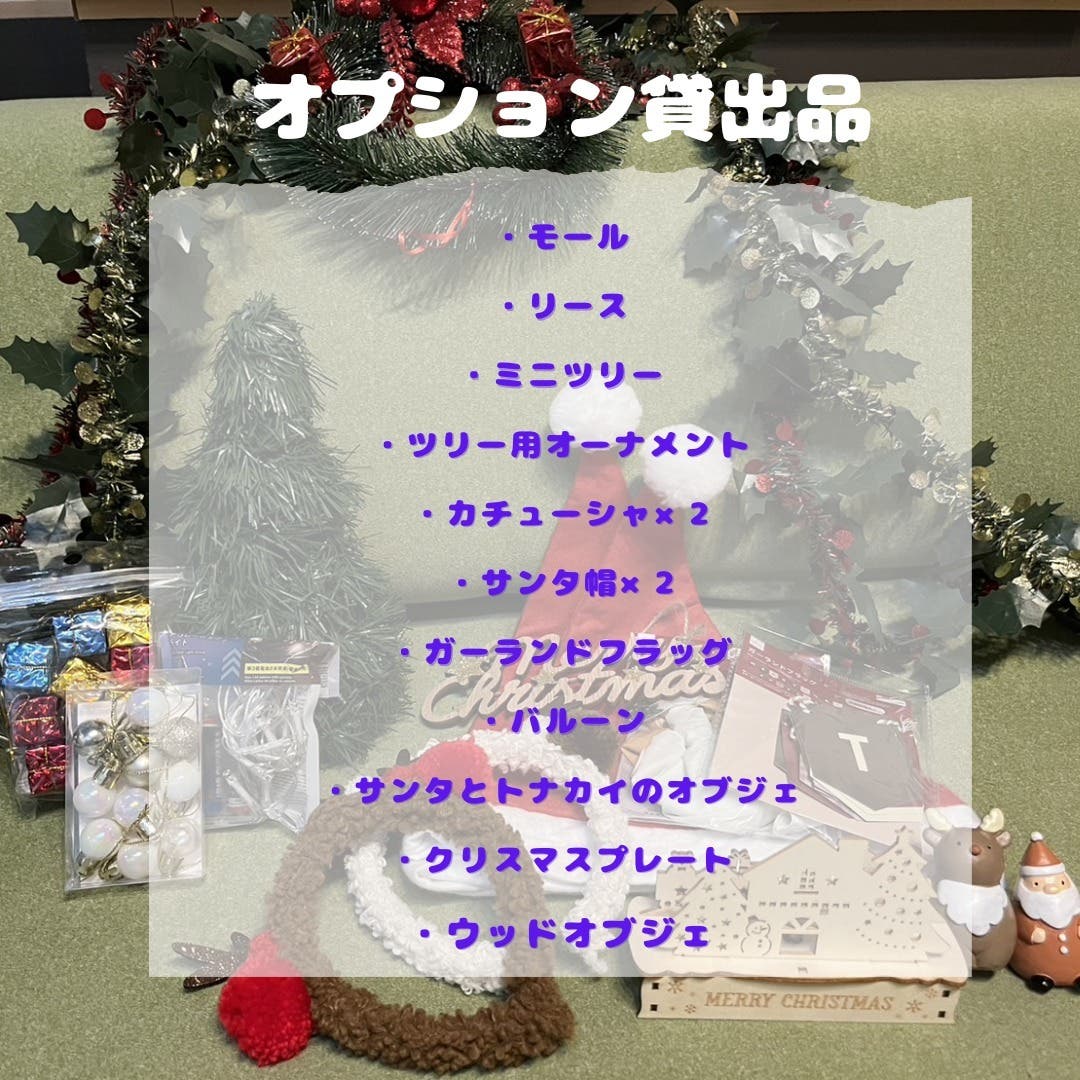 【1組限定】貸出クリスマス飾りセットの画像2