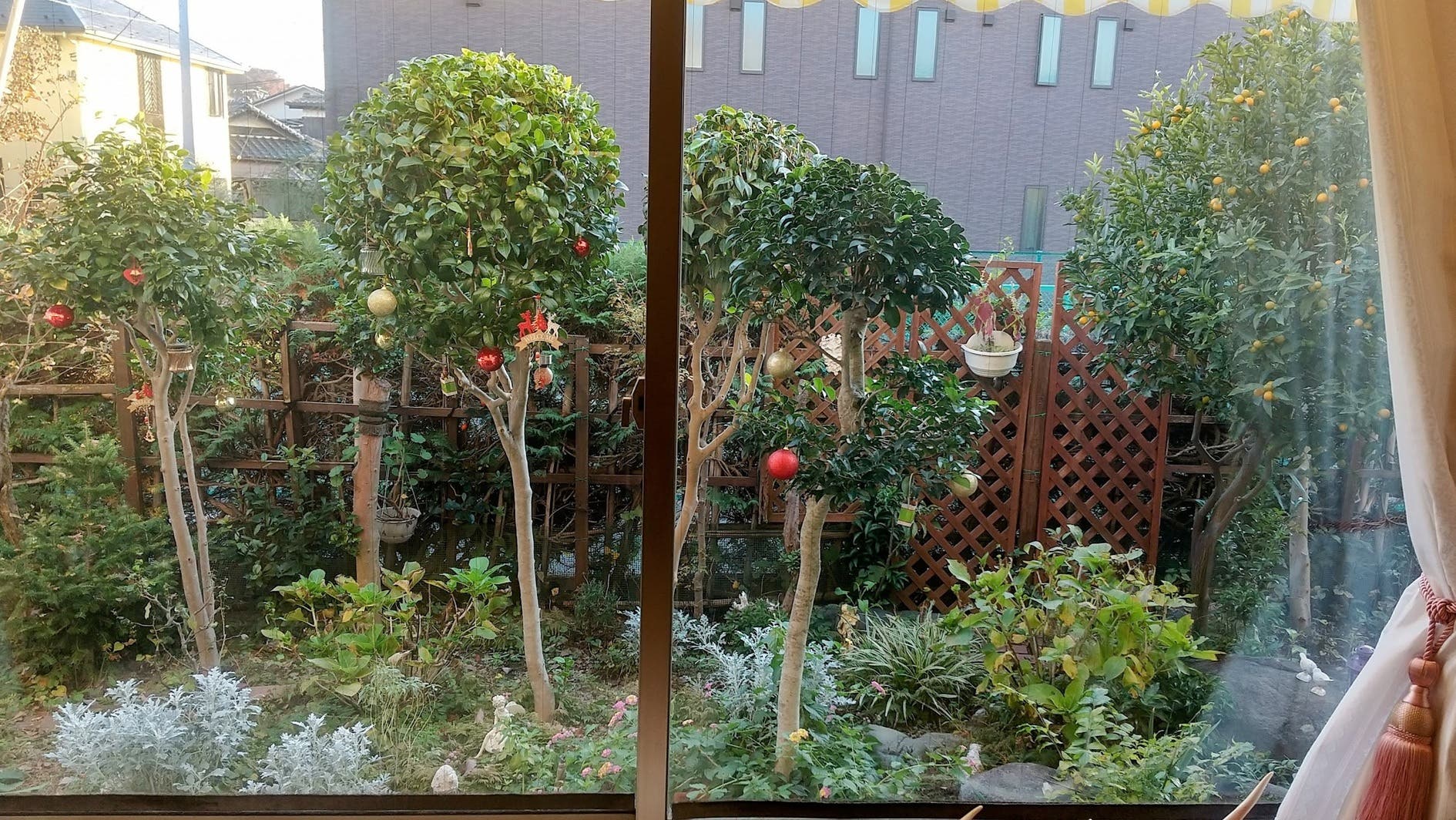 かわいい雑貨がいっぱいの、絵本の世界のような癒し空間。12月はムード満点のクリスマス装飾でお迎えします。の写真9