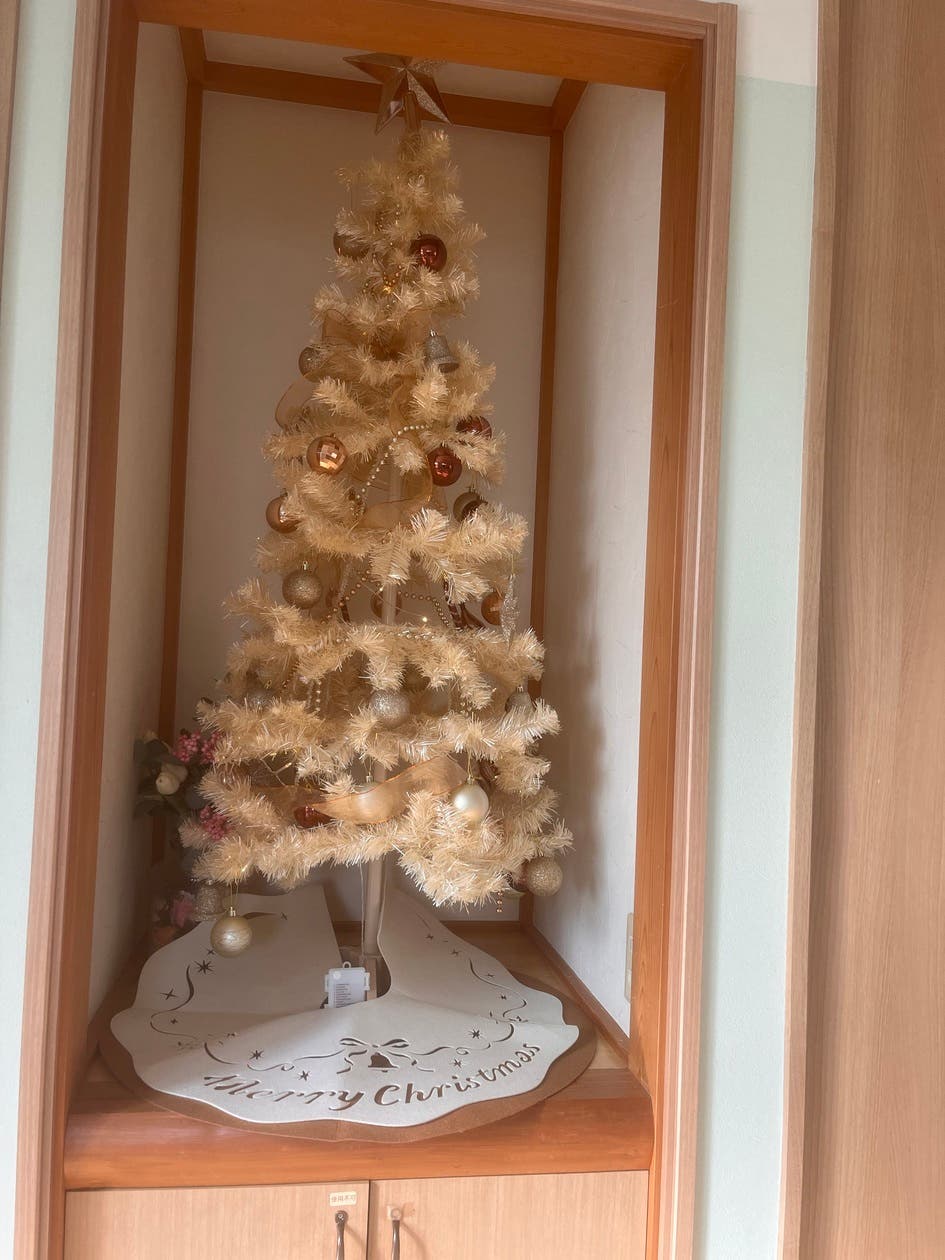 ワンスタ＋101#クリスマス2025#ポップアップ#料理動画撮影！！デート！!水元公園撮影控室！!の写真27