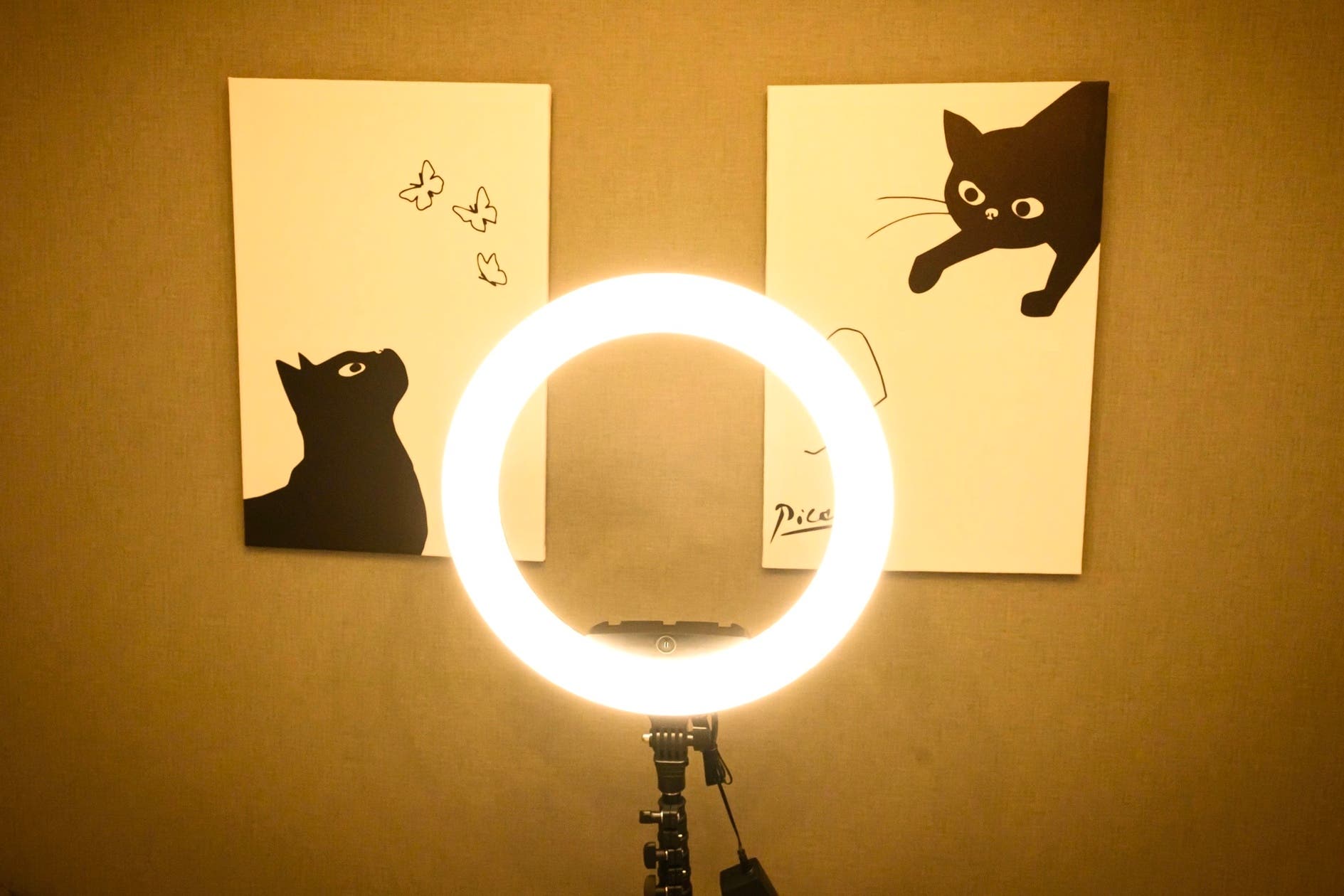 今年12月OPEN🤍烏丸御池すぐ🎀✨北欧モダン💖ふわふわマットレス💕女子会/おうちデート💕ゲーム関係充実&無料🎮✨の写真27