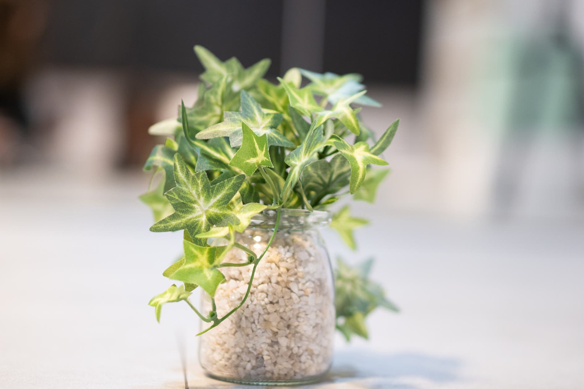 ＼NEW OPEN × いまだけオープン価格／ 千歳船橋駅徒歩1分、地下防音スタジオ。 更衣室・共有部・充実備品の写真18