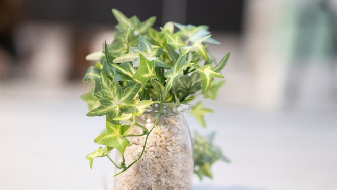 \NEW OPEN × いまだけオープン価格/ 千歳船橋駅徒歩1分、地下防音スタジオ。 更衣室・共有部・充実備品の写真18