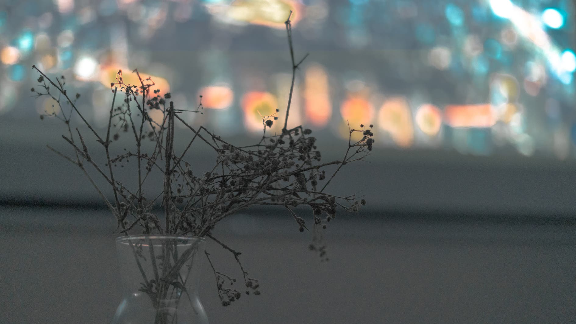 スペモ🌿クリスマス🎄学割👨‍🎓パーティー飲み会🍻プロジェクター📽デート💓映画鑑賞🎥454_Lagom渋谷9thの写真21