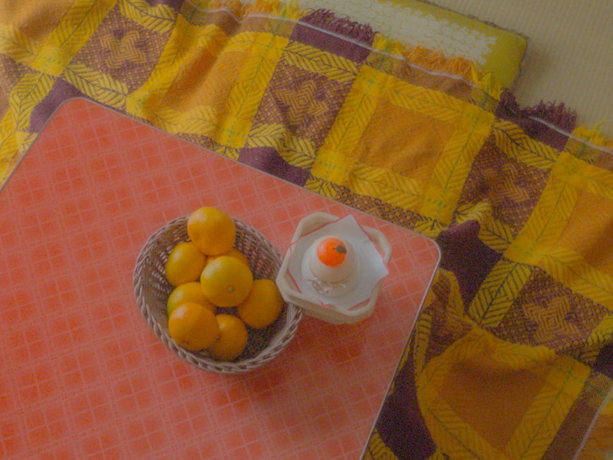 白樺舎  #昭和 #団地 #暮らし #朝ドラ #ペット可 #レトロ #コスプレ #こたつ #年越し #新年 #カレンダー撮影の写真3