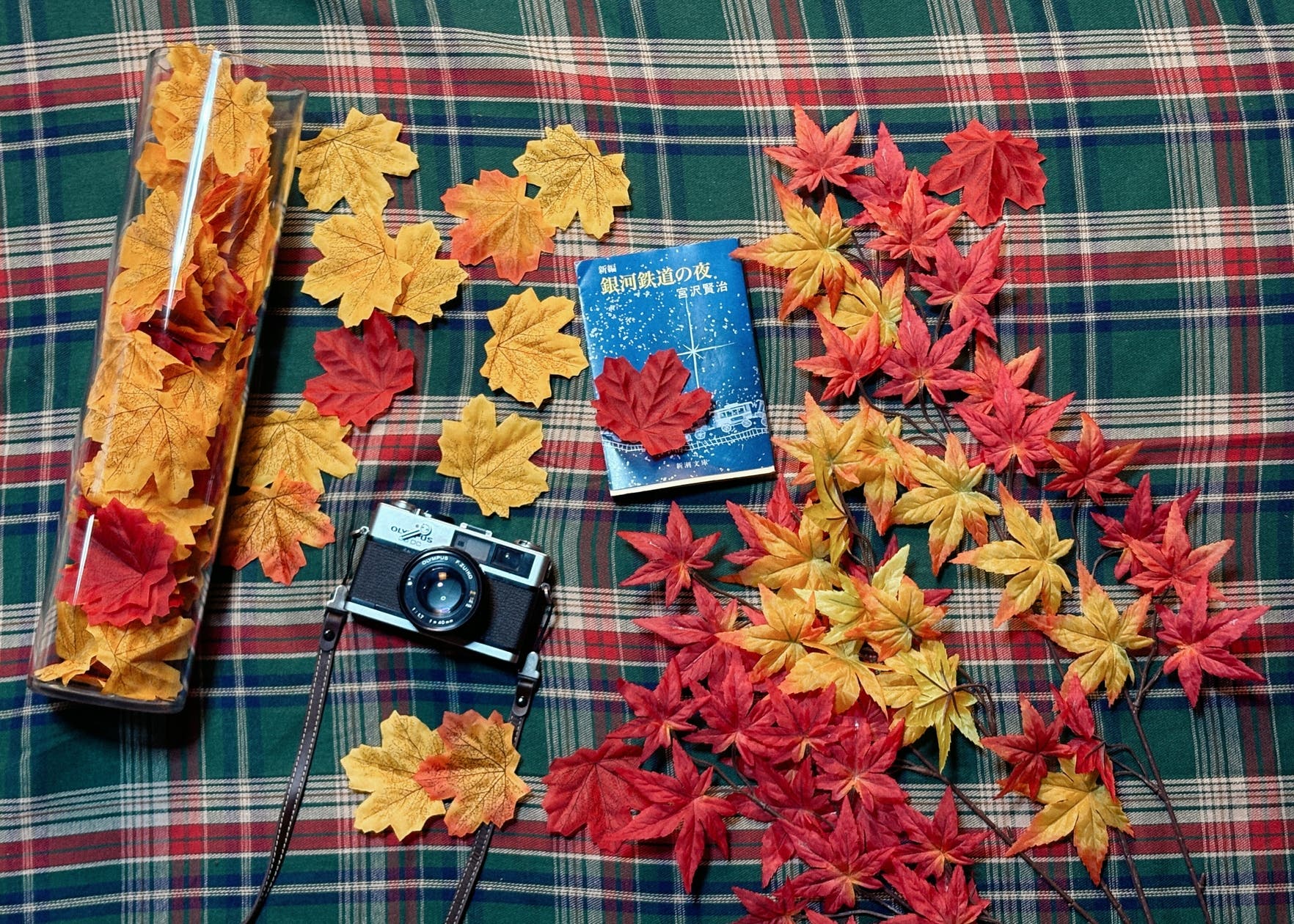 無料備品や家具の設置例の画像2