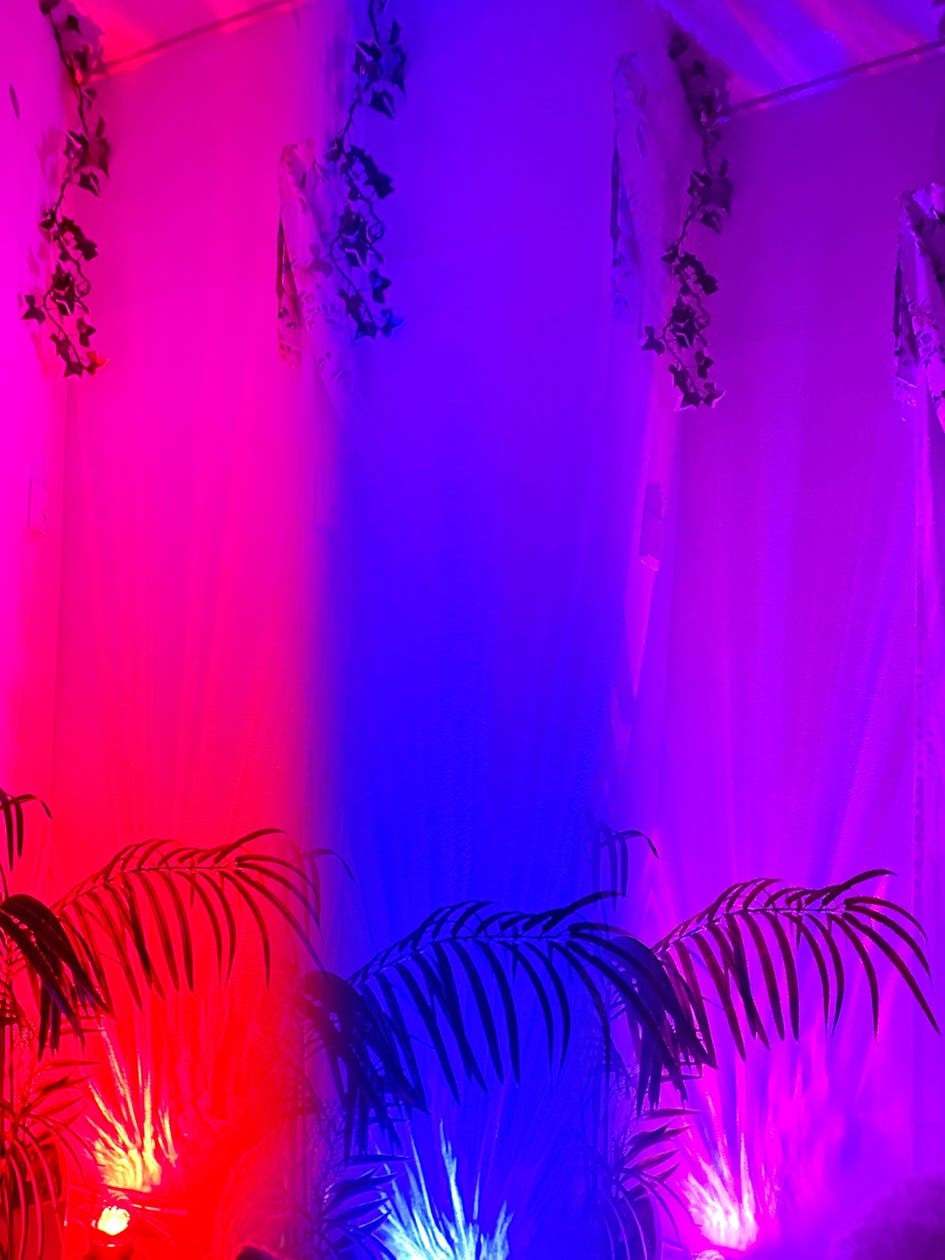 ㊗️新規OPEN特価㊗️いりなか駅スグの最上階❣️2025/11月室内フルリフォーム✨dyson空気清浄&加湿器で清潔空間🤩の写真6