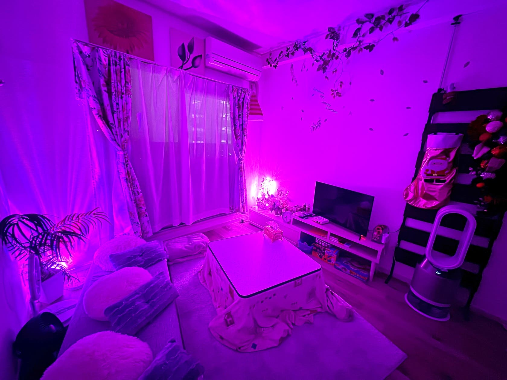 ㊗️新規OPEN特価㊗️いりなか駅スグの最上階❣️2025/11月室内フルリフォーム✨dyson空気清浄&加湿器で清潔空間🤩の写真2