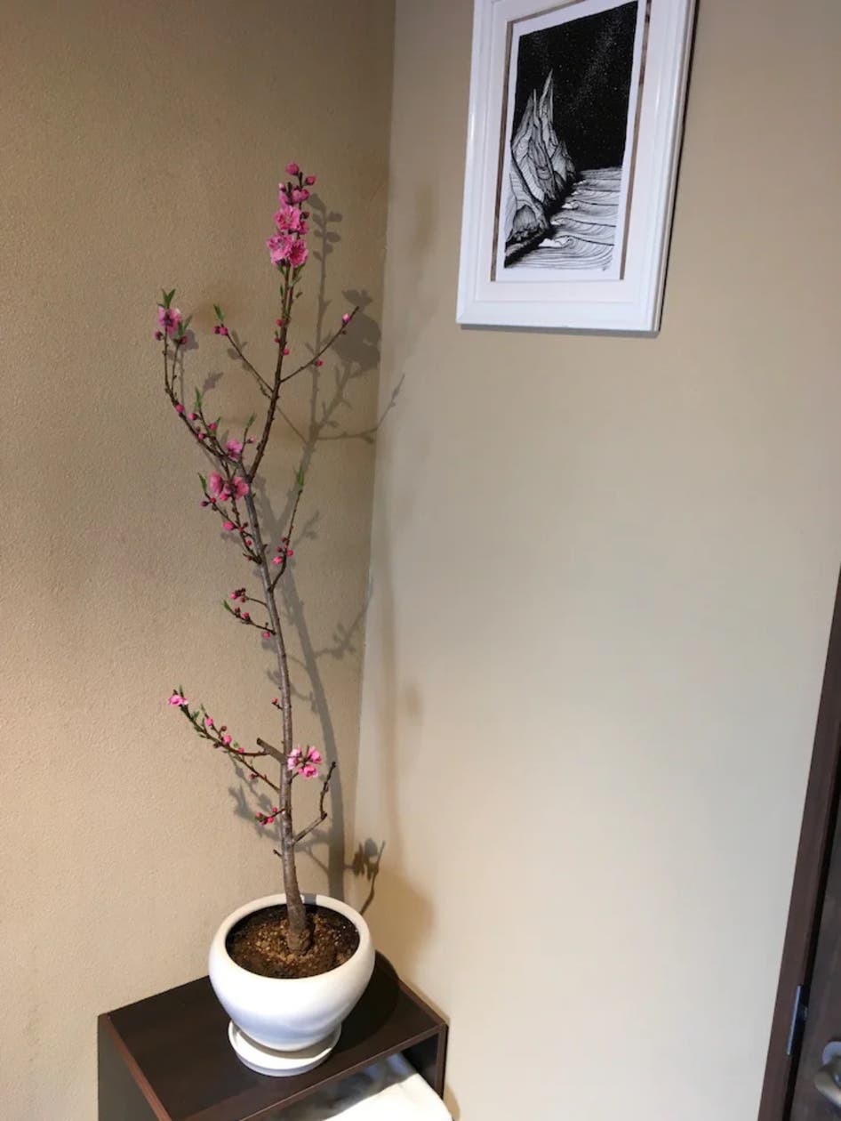 リノベ古民家📷駅1分｜6名・2階建て貸切｜キッチン＆食器完備・女子会や撮影にの写真15