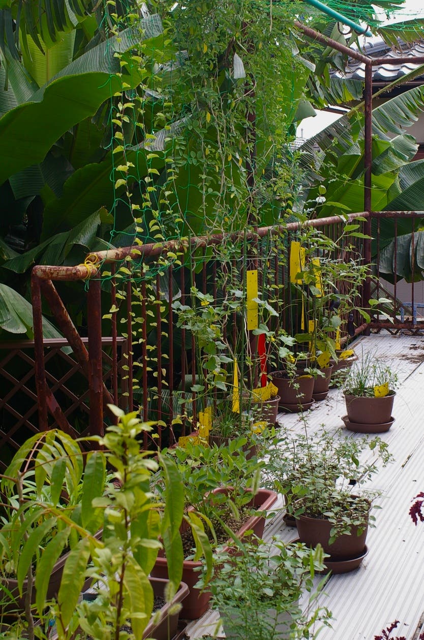 70年代の医院がそのまま。ユニークな撮影場所や展示会場をお探しの方必見。の写真14