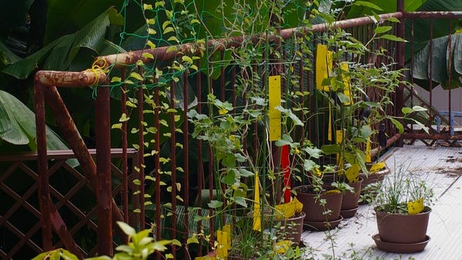 70年代の医院がそのまま。ユニークな撮影場所や展示会場をお探しの方必見。の写真14