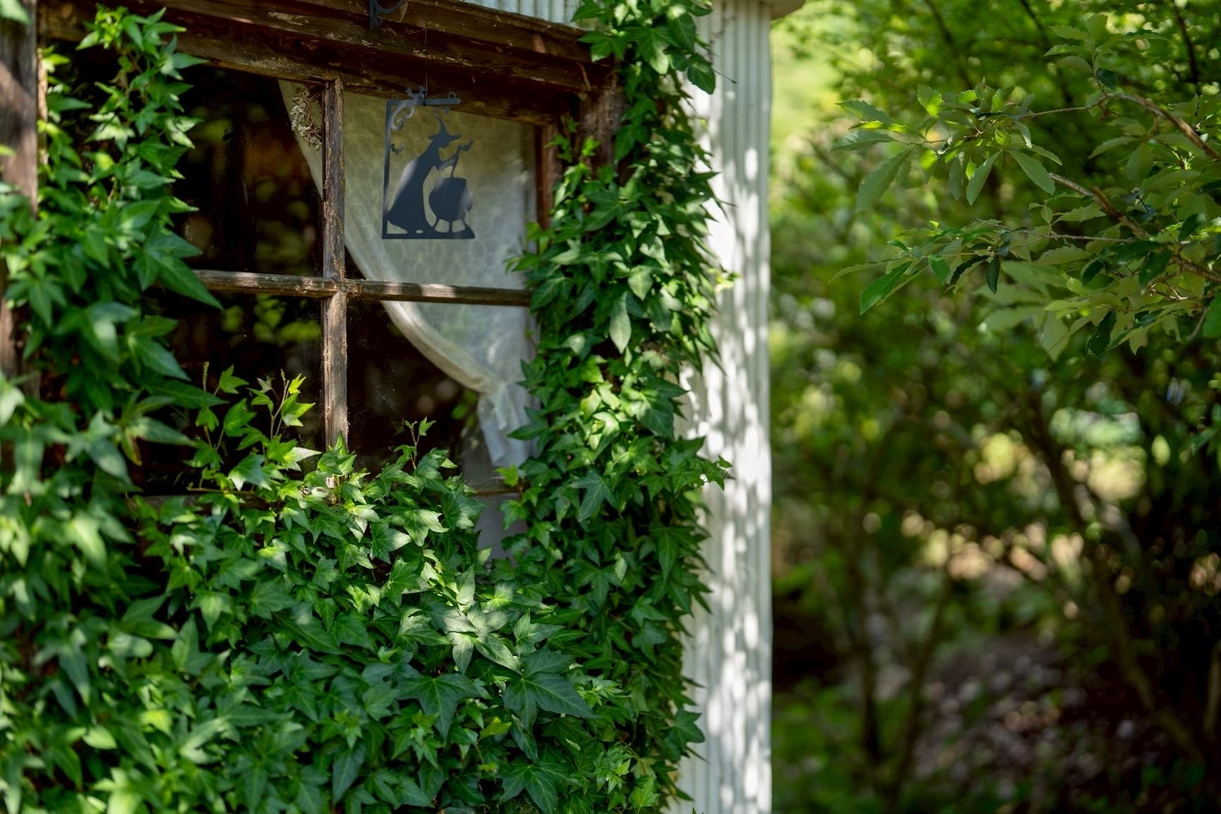 【ロケ撮影可】【ケータリング可】田んぼや森に囲まれた静かな2200坪の広々スペースを貸切の写真13