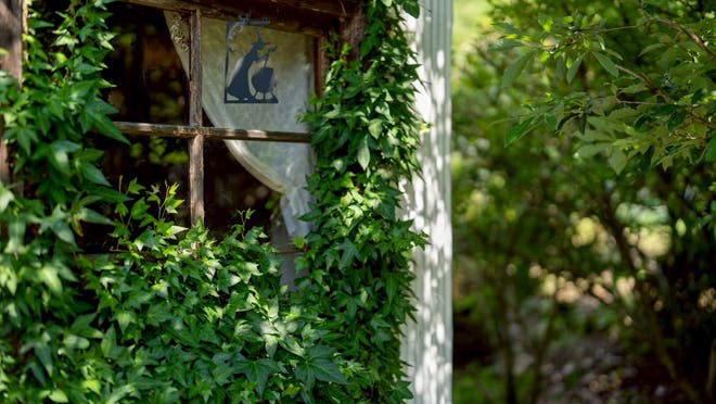 【ロケ撮影可】【ケータリング可】田んぼや森に囲まれた静かな2200坪の広々スペースを貸切の写真13