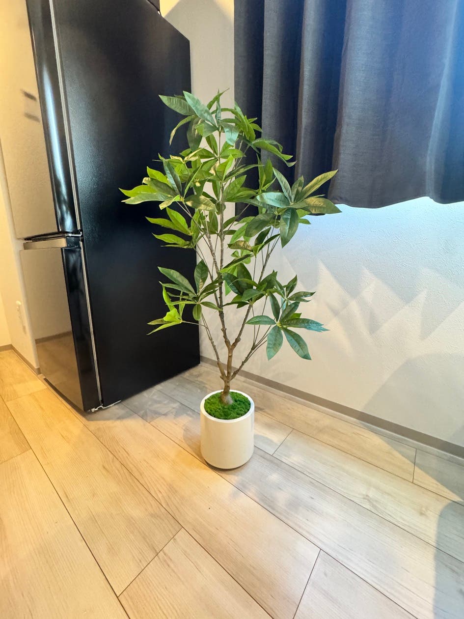 【南馬込】新築1LDK｜コンクリ×ミニマル空間で撮影・配信・デートに使えるの写真5