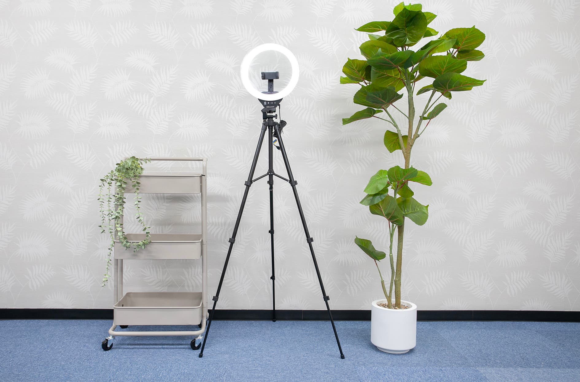 NEW OPEN！駅近3分！最大34人収容の広々会議室✨懇親会・ボドゲ・女子会・施術台有  東京メトロ有楽町線市ヶ谷駅徒歩3分の写真16