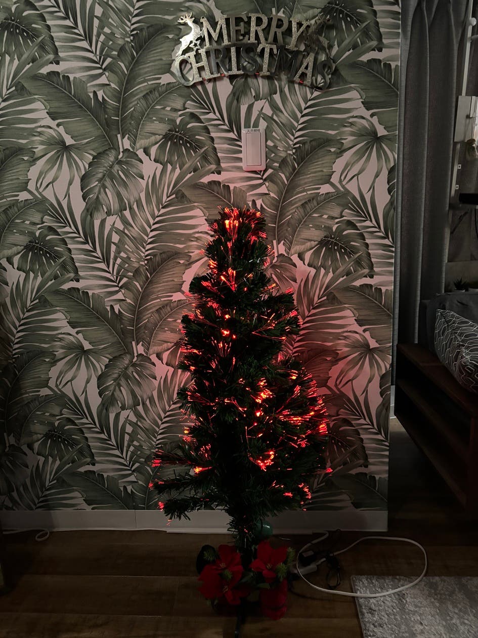 100インチスクリーンで映画鑑賞🎬気の合う仲間と楽しい時間を過ごせるスペースです🍃の写真30