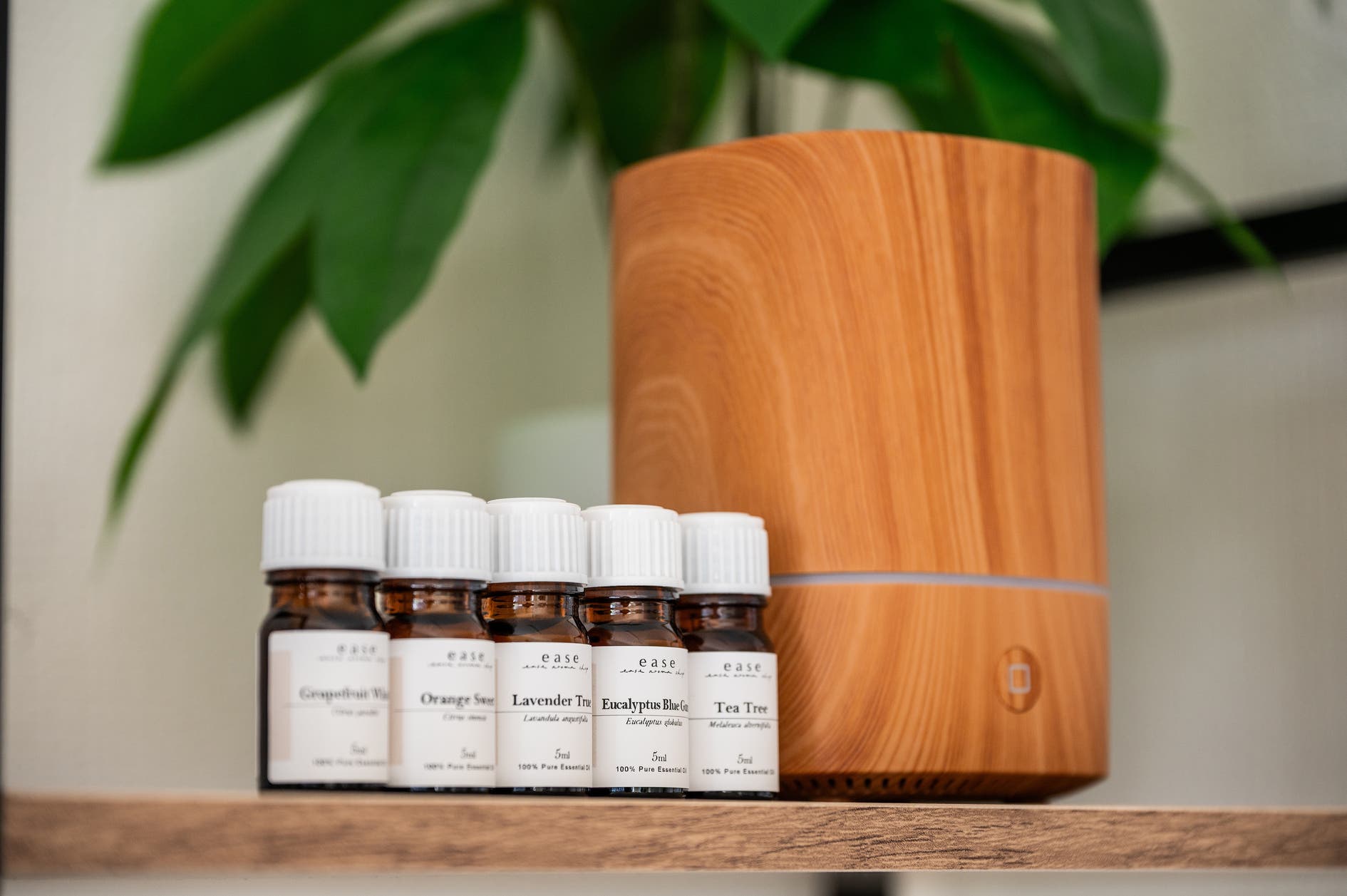 [リニューアルオープン割引中🎊]京阪樟葉駅徒歩4分🚶エステ、セラピー、整体、カウンセリング、ヨガ🌿くつろぎバルコニー付の写真12