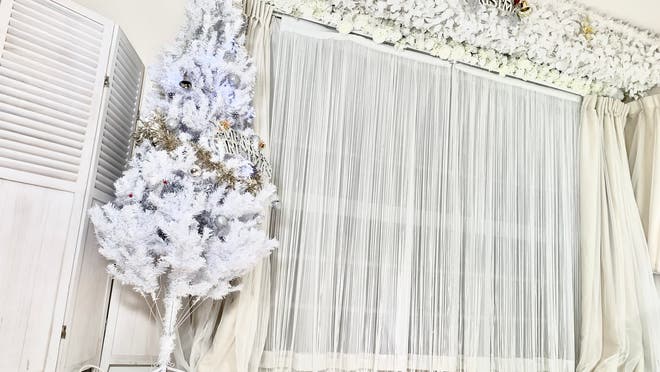 ク【クリスマスツリー】駅1分✨自然光✨白基調✨ブランド家具✨おしゃれ✨ポートレート✨コスプレ✨物撮り✨インタビュー✨の写真3