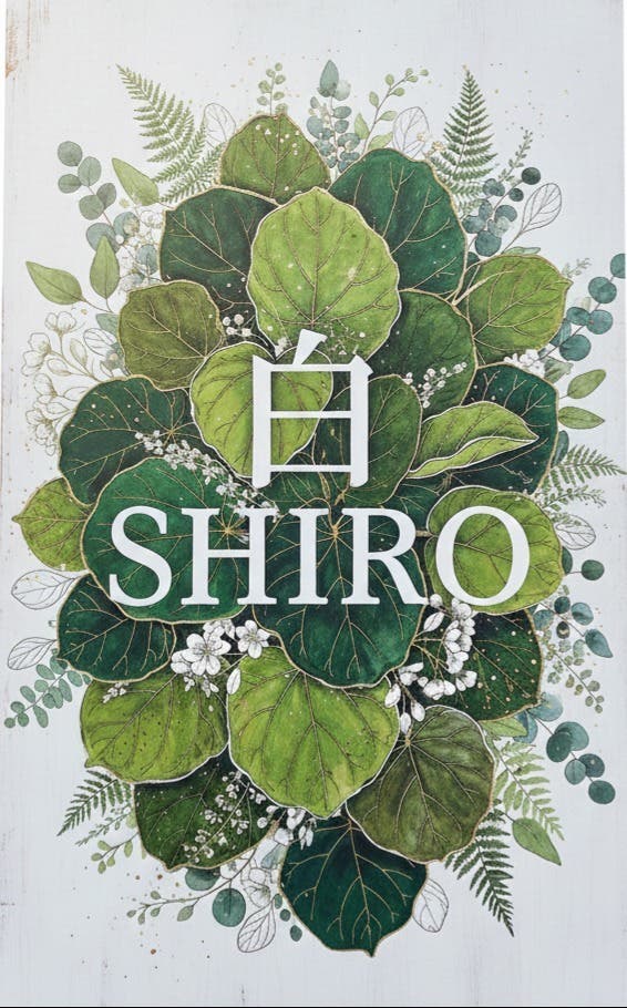 usy白☆元町駅から徒歩2分☆木の温もりと緑に包まれたカフェ風空間で、リラックスしたひとときを☆の写真6