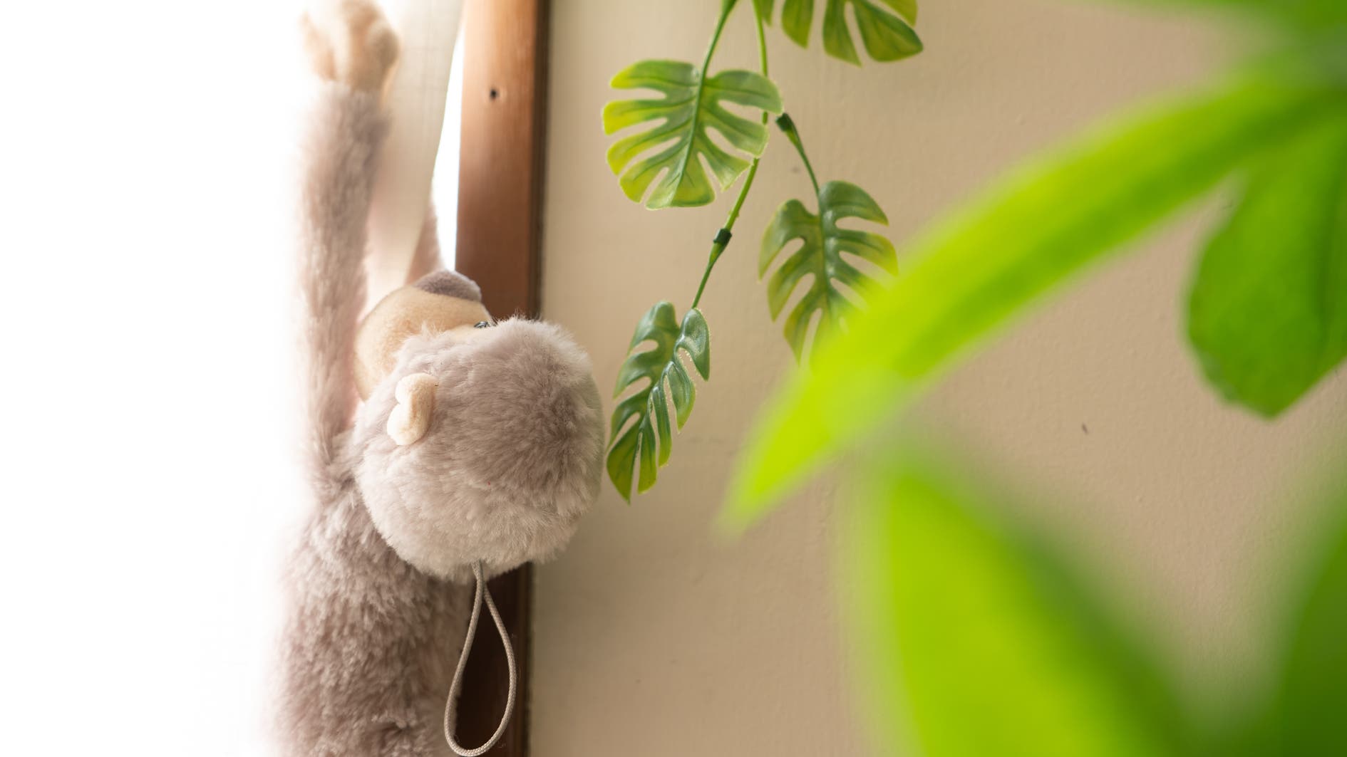 スペモ🔥クリスマス🎄大宮5分🚶‍♀️ゲーム🎮️歓送迎会✨️打ち上げ🎉映画鑑賞🎥パーティー🍻808_Fluffy大宮の写真23