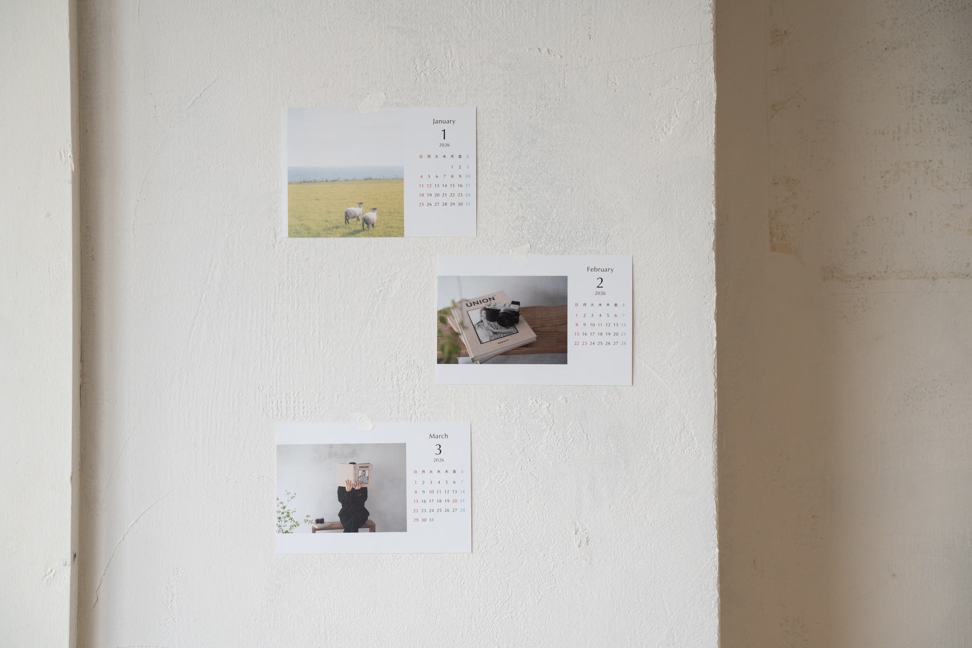 2026年1月末までレンタルスペースオープン特別価格！！中島公園すぐ｜自然光と木の温もりを感じるナチュラルレンタルスタジオの写真19