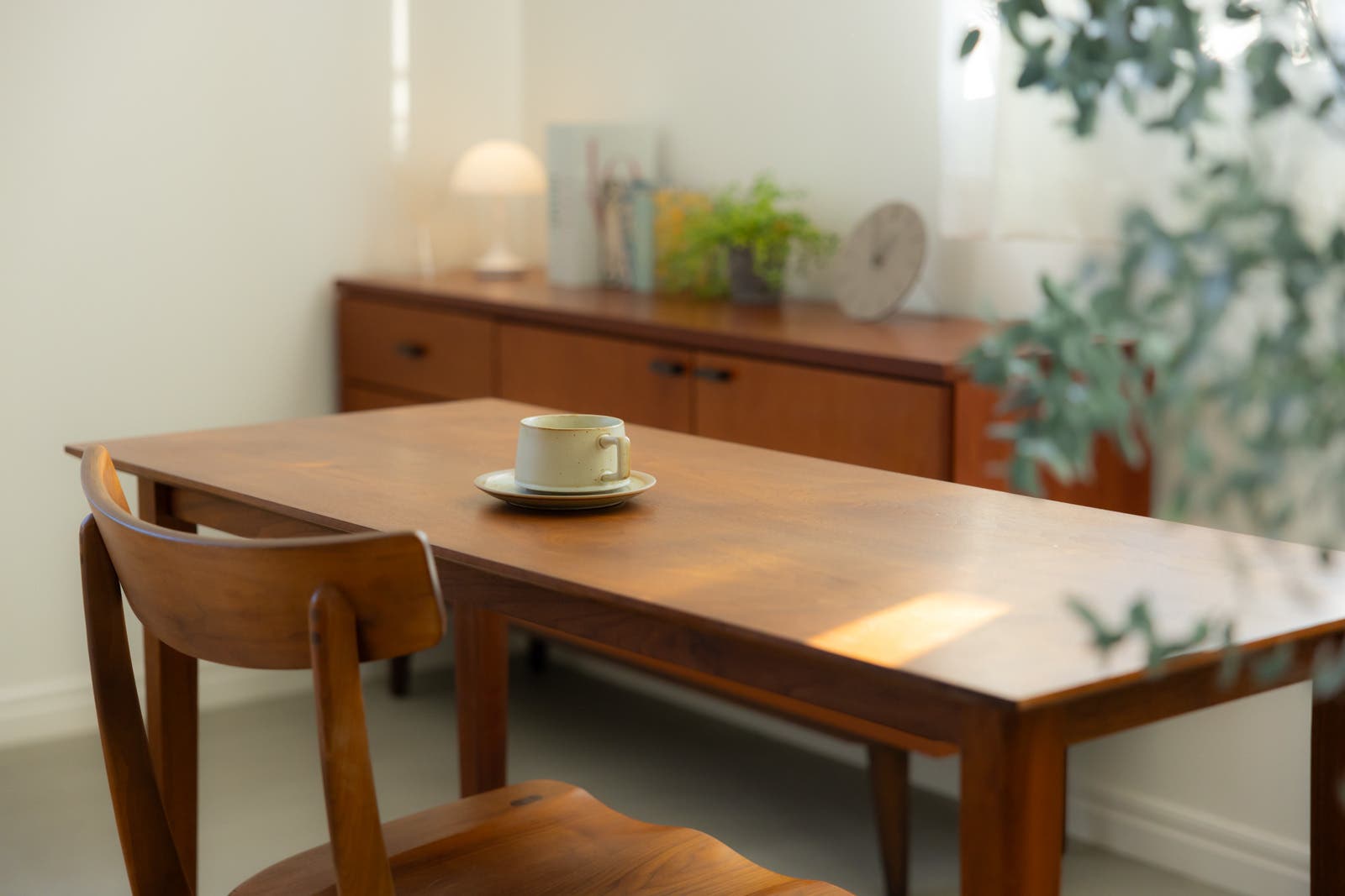 ライフスタイルの撮影に　明るくおしゃれなグリーン豊富なハウススタジオの写真3