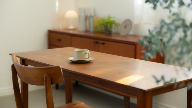 ライフスタイルの撮影に 明るくおしゃれなグリーン豊富なハウススタジオの写真3