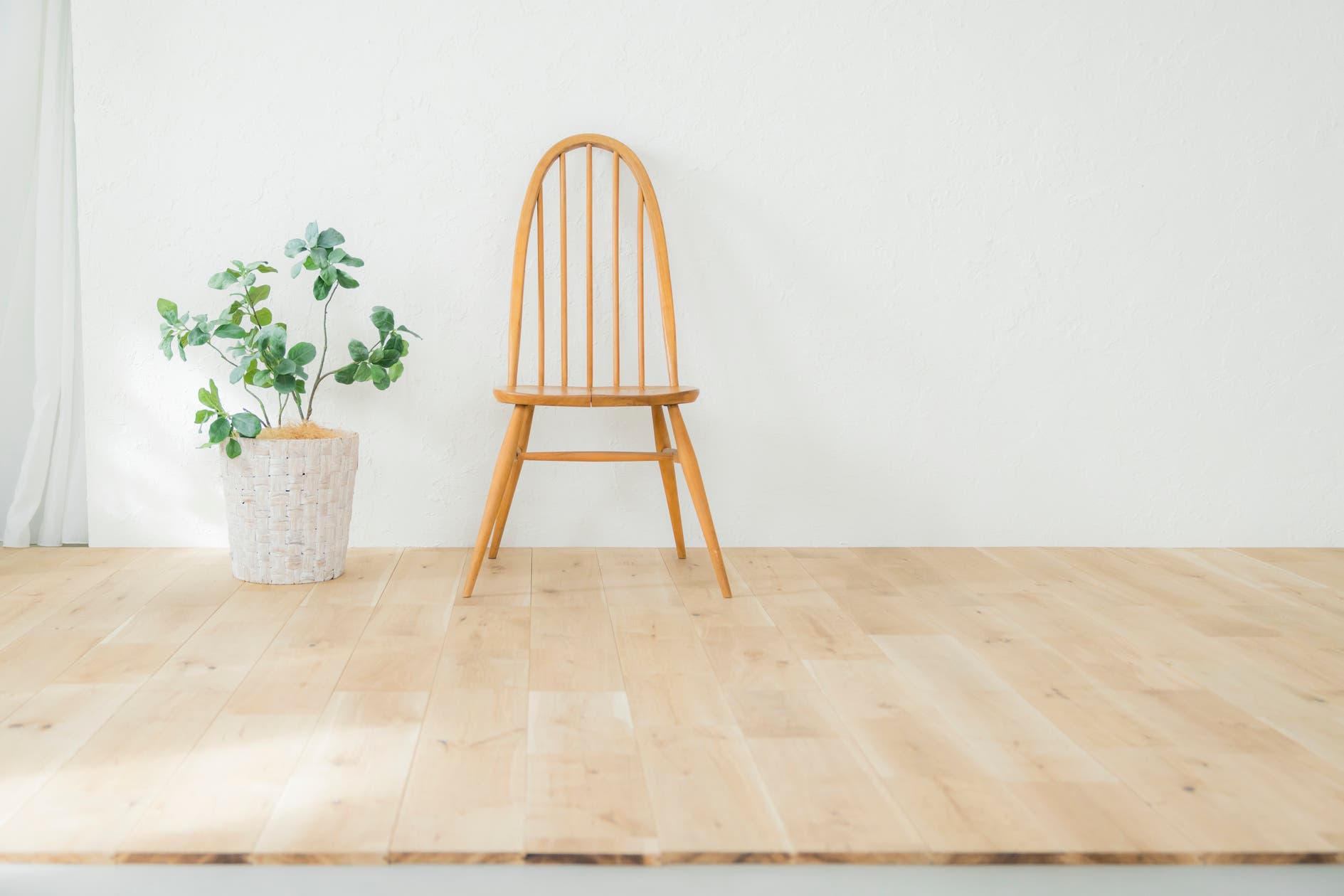 ライフスタイルの撮影に　明るくおしゃれなグリーン豊富なハウススタジオの写真14