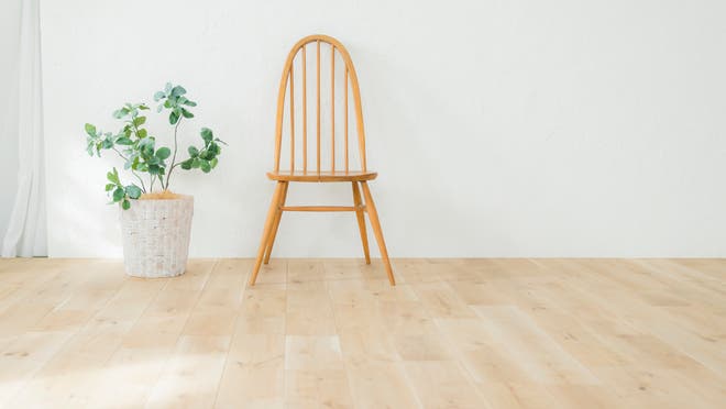 ライフスタイルの撮影に 明るくおしゃれなグリーン豊富なハウススタジオの写真14