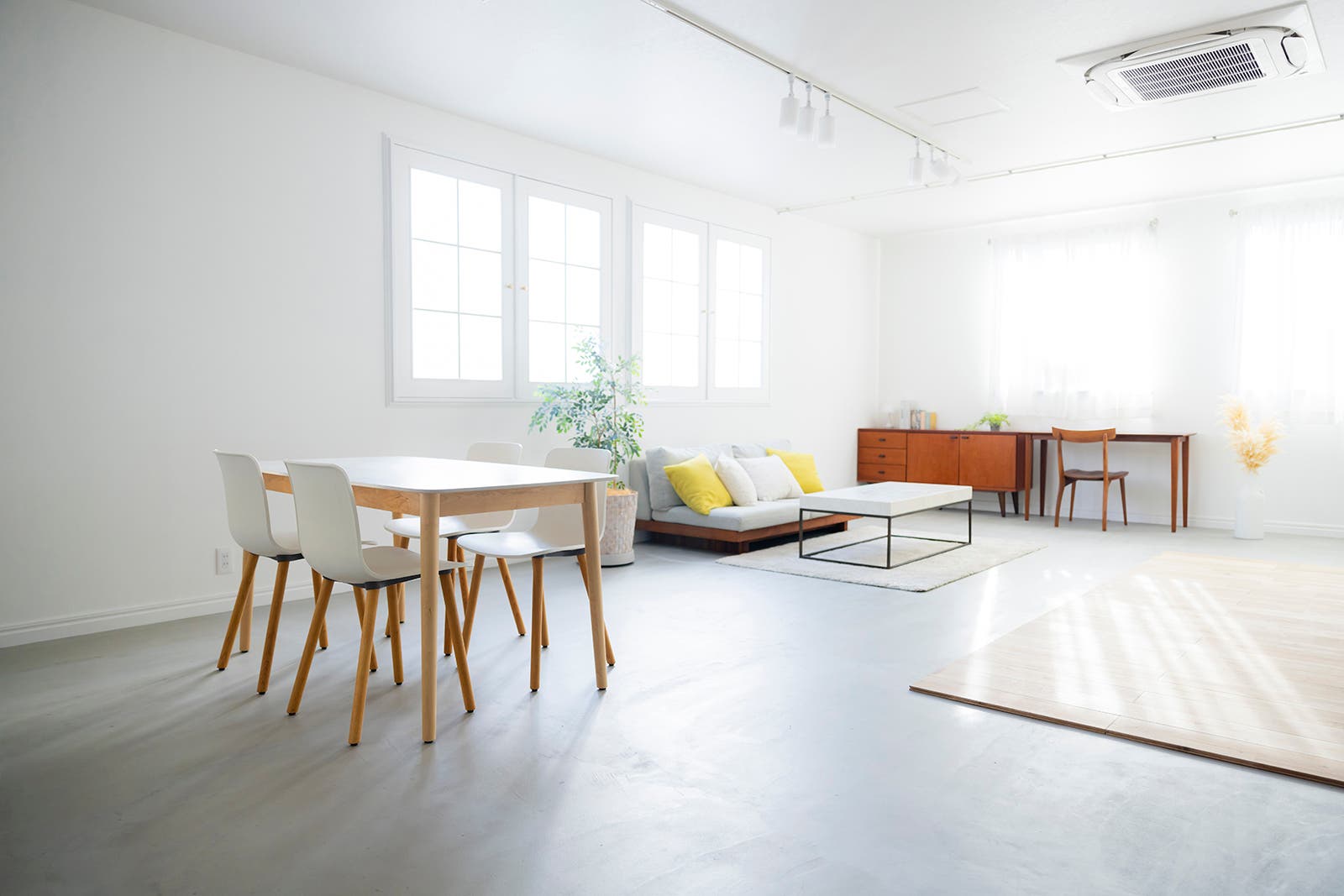 ライフスタイルの撮影に　明るくおしゃれなグリーン豊富なハウススタジオの写真2