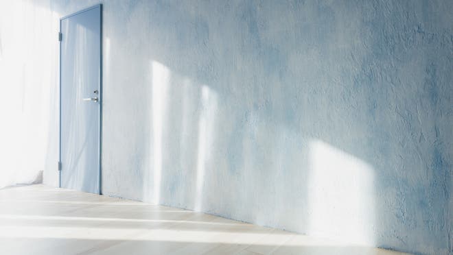 バイクなどの車両や大型犬もOK 自然光で撮れる4mのダーク壁とガルバリウム 大型照明常設の写真15