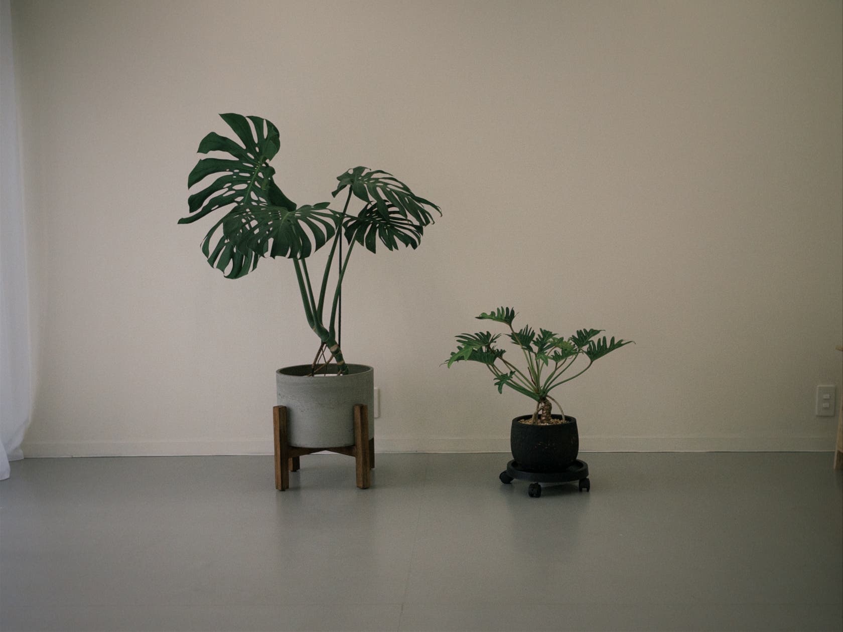 【new】自然光◎撮影・ポートレートに最適なスタジオ| 東府中7分・大国魂神社近くの写真8