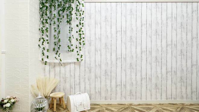 【渋谷・三軒茶屋エリア】駅チカ・自然光たっぷり白壁×バラ背景撮影スタジオ|ポートレート・ファッション・商品・SNS撮影の写真11