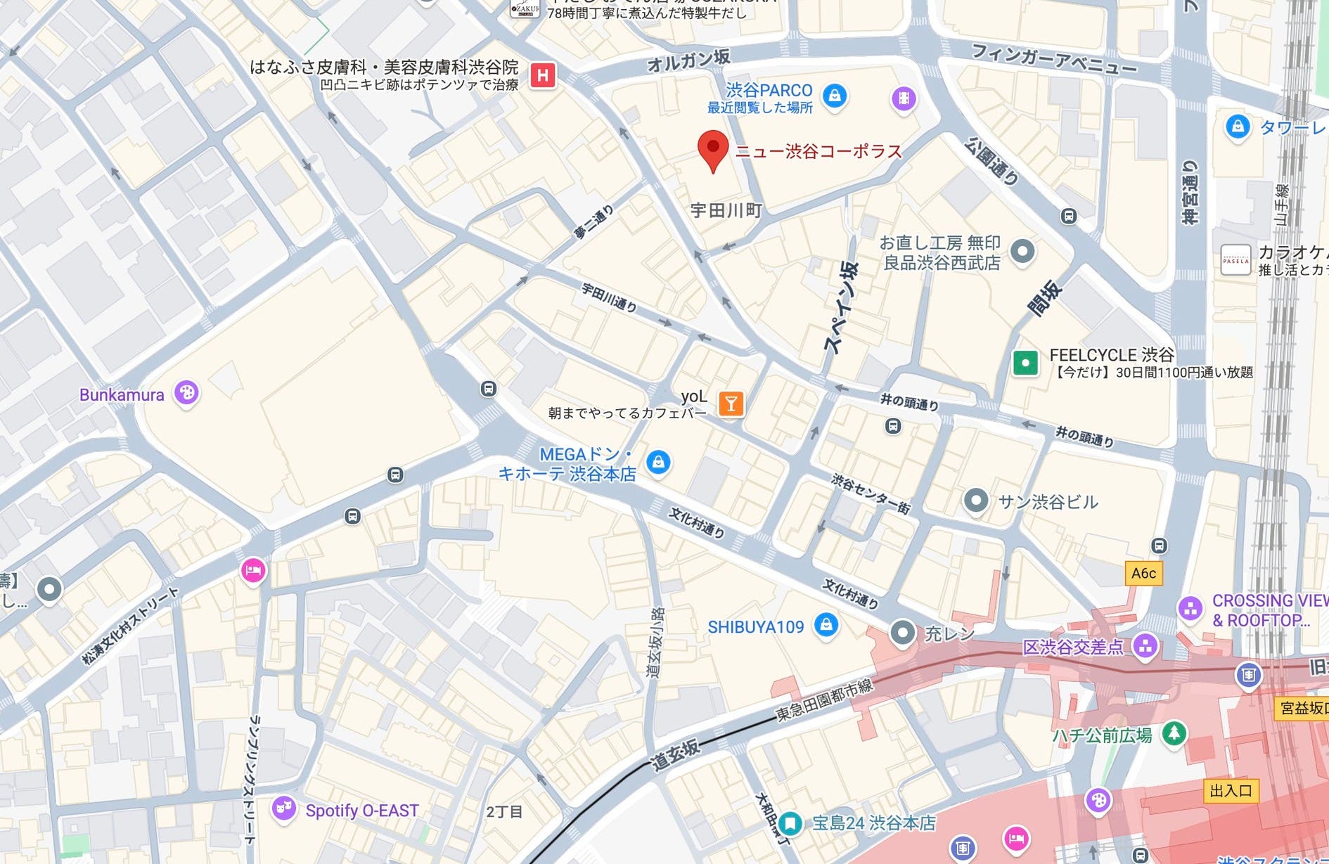 【渋谷駅徒歩5分】❤️‍🔥空間で“また来たい”をつくる❤️‍🔥｜トレーナーが選ぶNo.1レンタルジム🏋️‍♀️の写真10