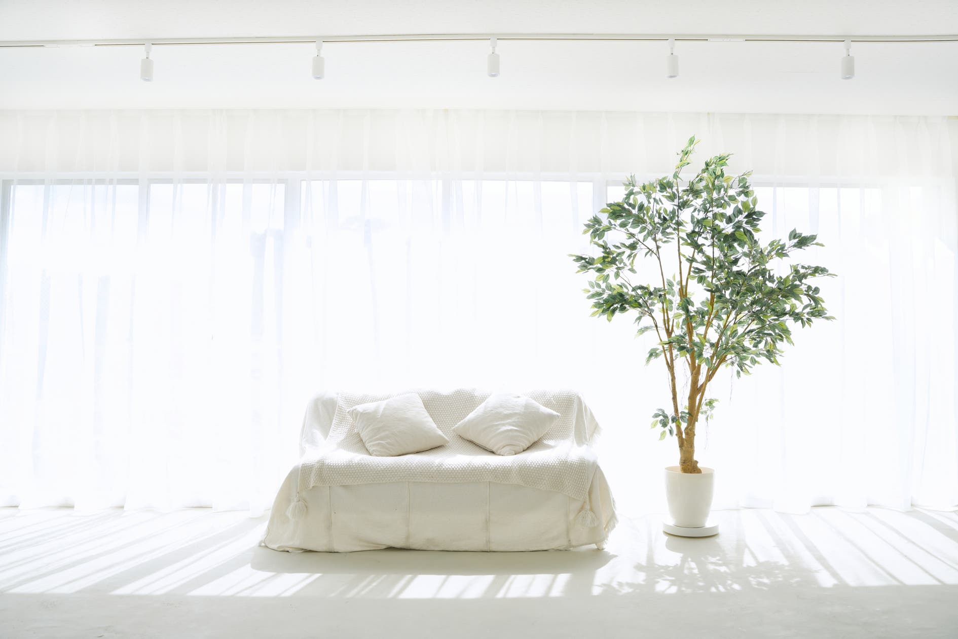 【新横浜エリア／小机駅30秒】移転＆新規OPEN　南北のW自然光×機材無料｜4Kモニター完備の白壁スタジオ｜studio µの写真1