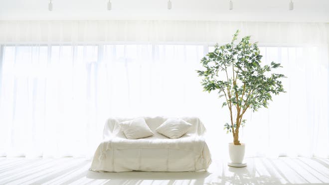 【新横浜エリア/小机駅30秒】移転&新規OPEN 南北のW自然光×機材無料|4Kモニター完備の白壁スタジオ|studio µの写真1