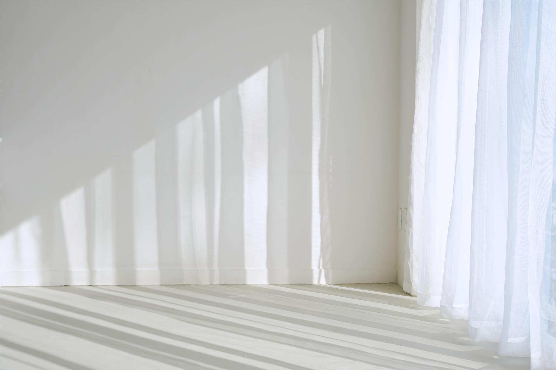 【新横浜エリア／小机駅30秒】移転＆新規OPEN　南北のW自然光×機材無料｜4Kモニター完備の白壁スタジオ｜studio µの写真13